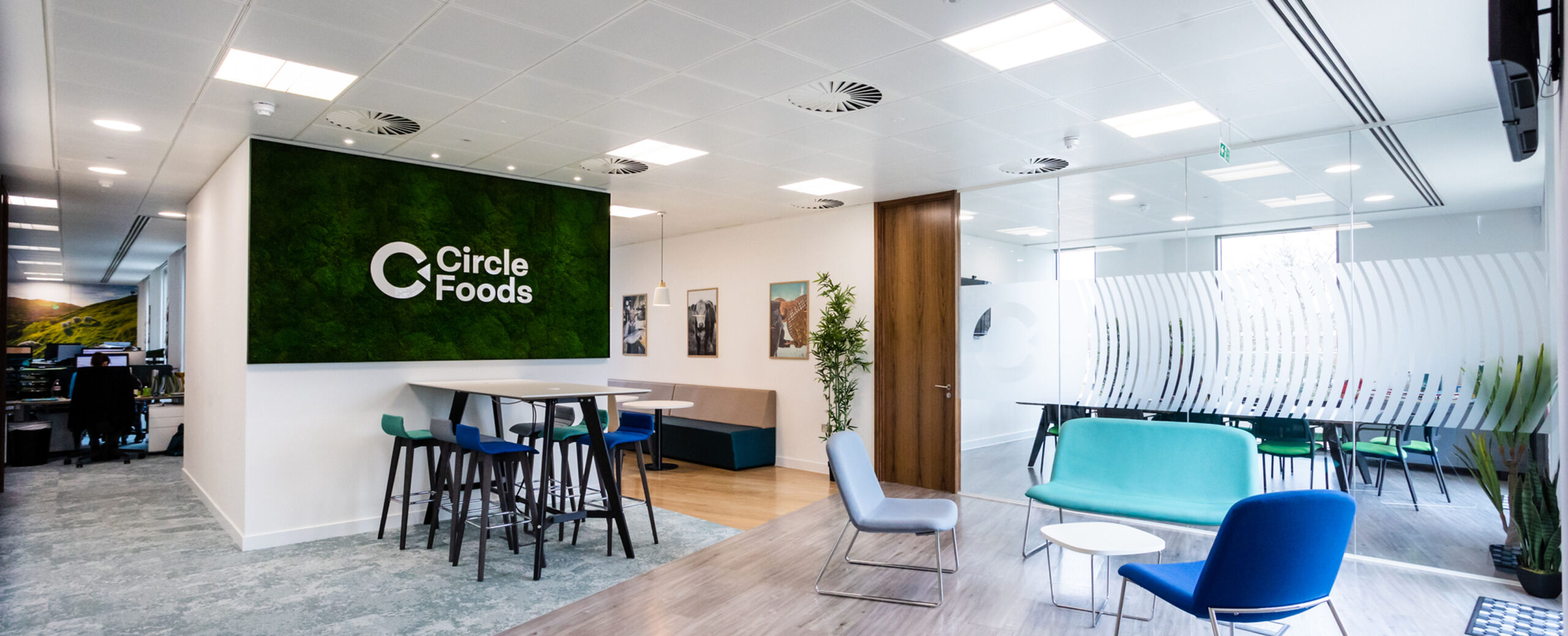 Circle Foods - 3-Space